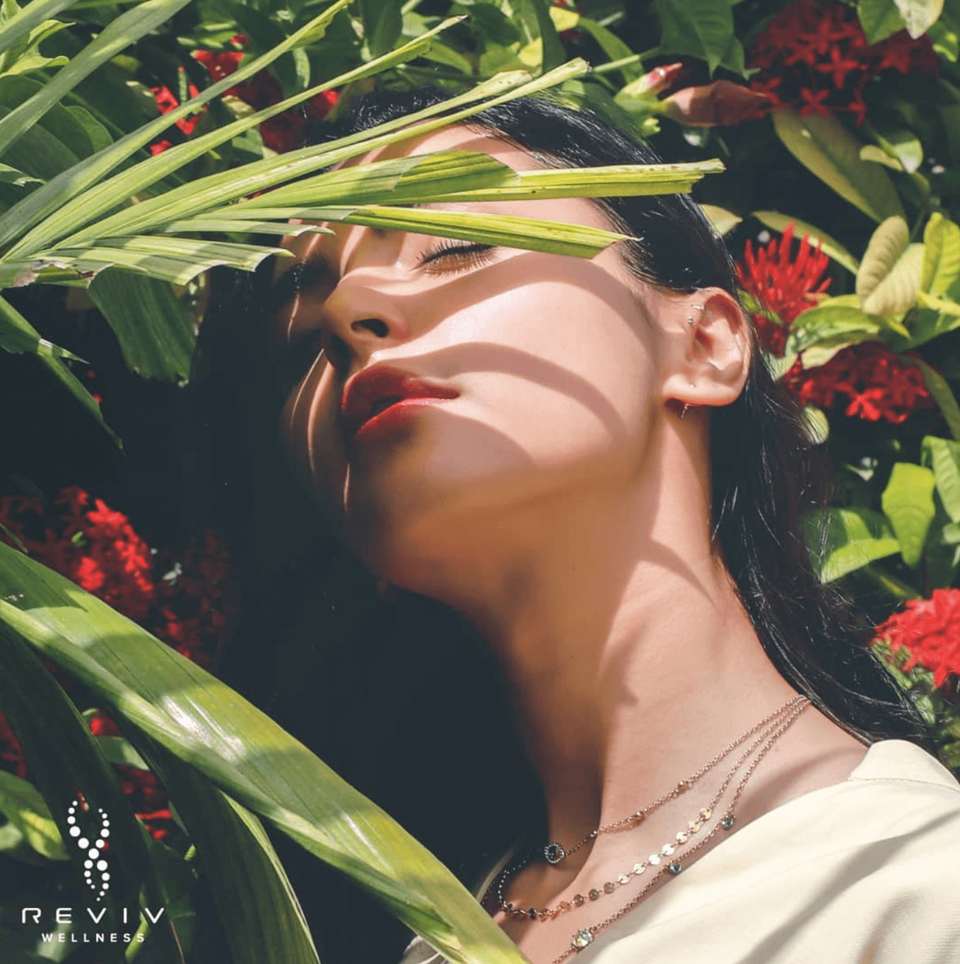 Success Stories – codeandfable.com